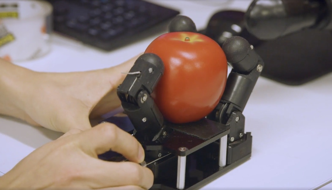 Robotic muscle and sensitive polymer fingers in Columbia University’s ...