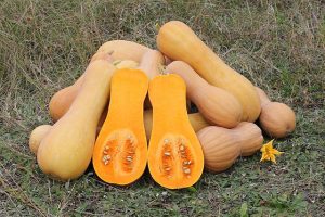 Two women lost their hair after eating toxic, bitter squash, doctors ...