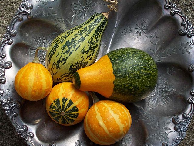 Two women lost their hair after eating toxic, bitter squash, doctors ...