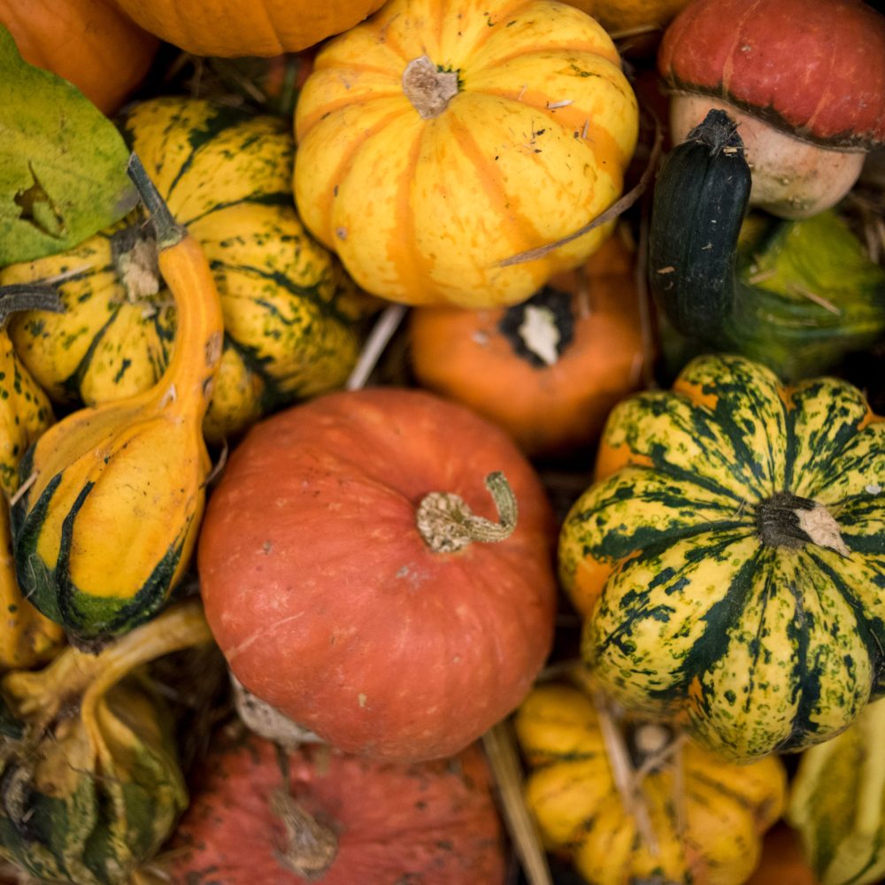 Tag: toxic squash - Ars Technica