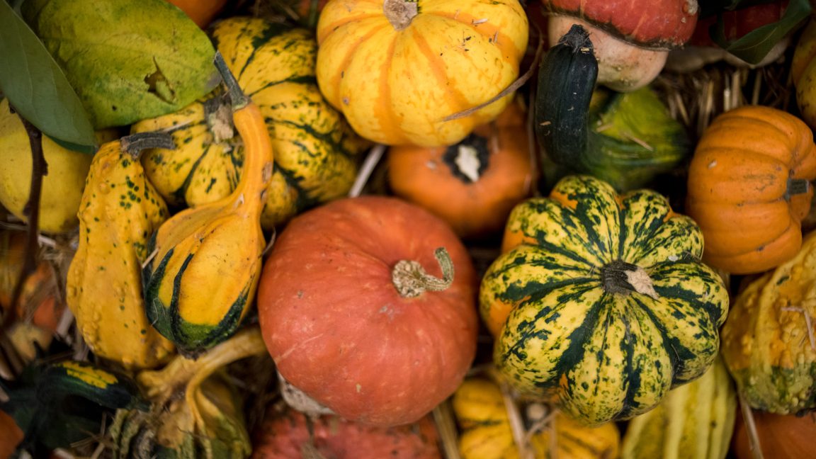 Two women lost their hair after eating toxic, bitter squash, doctors ...