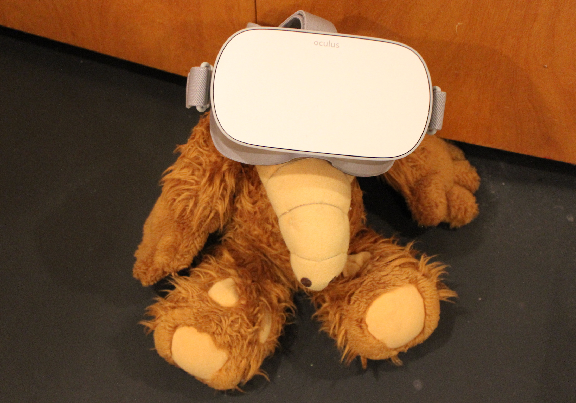 Oculus Go review: The wireless-VR future begins today for only $199 ...