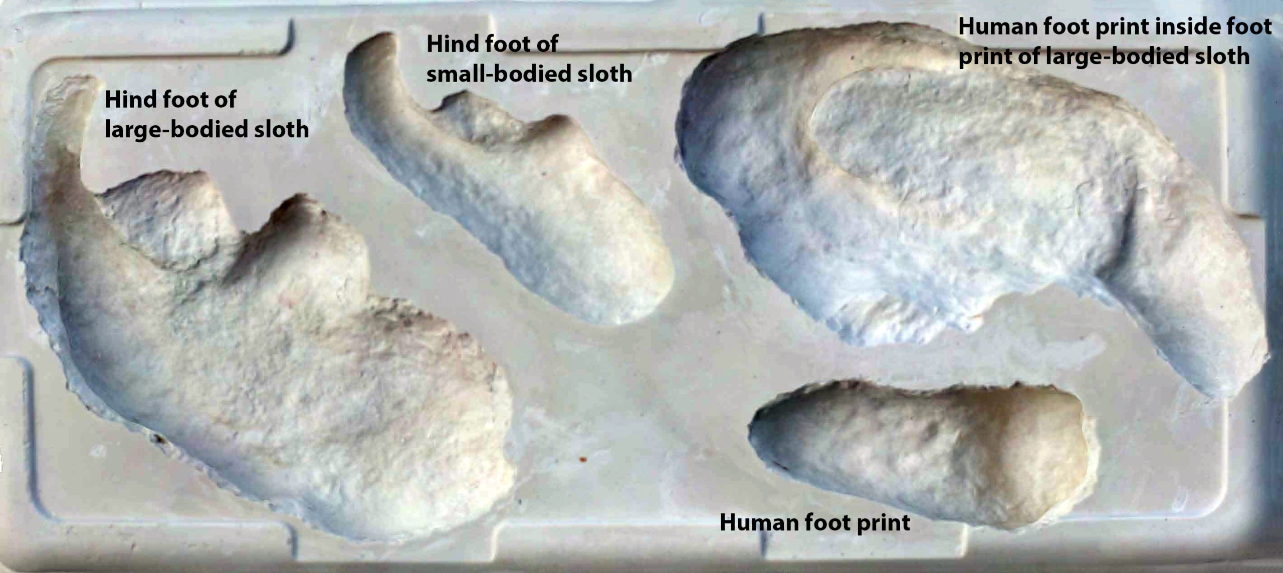Over 10,000 years ago, weapons at White Sands were aimed at giant ...
