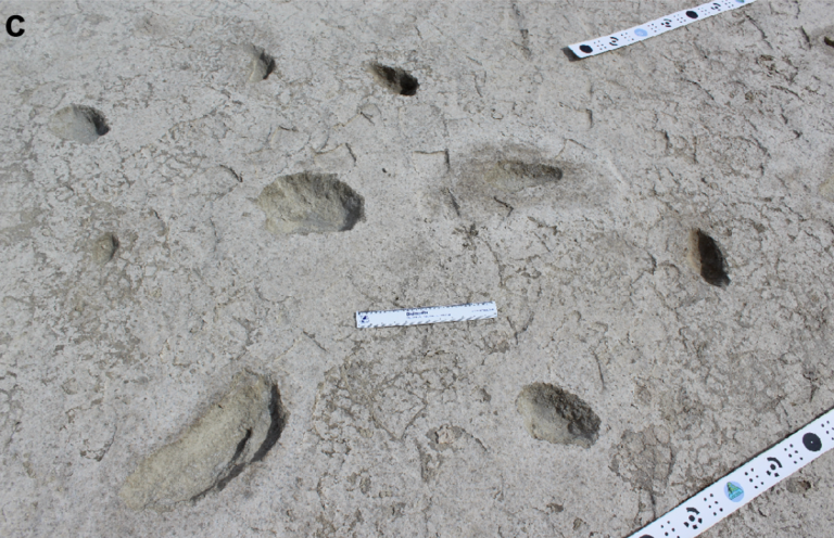 Over 10,000 years ago, weapons at White Sands were aimed at giant ...