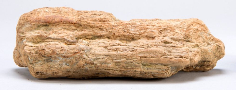 An 800-year-old label may rewrite the history of a Java Sea shipwreck ...