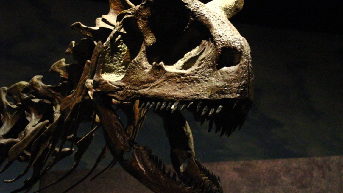 Dinosaur-killing impact + volcanoes kept the Earth hot for 100,000 ...