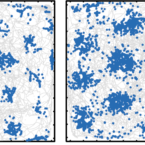 Tag: grid cells - Ars Technica