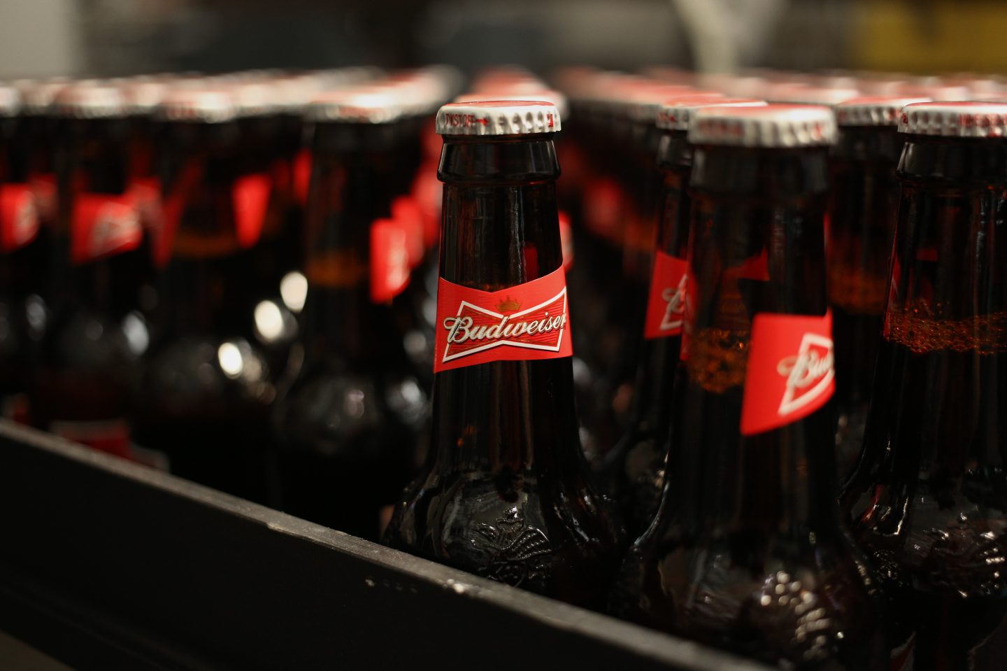 Anheuser-Busch pulls millions from controversial NIH alcohol study ...