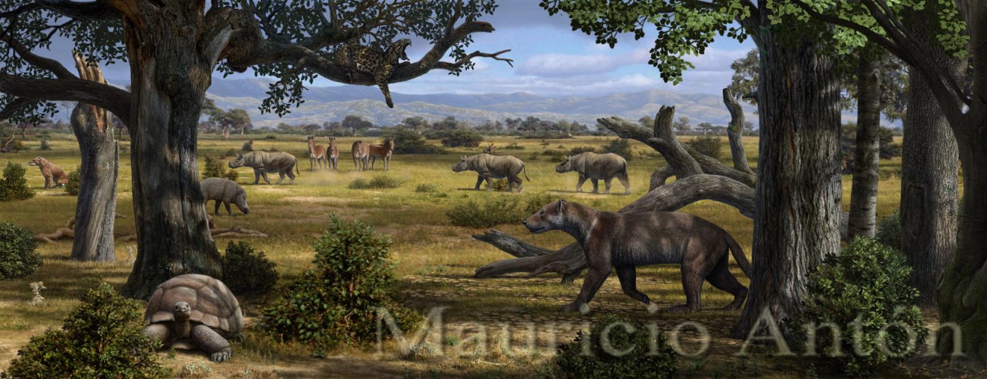 What happened last time it was as warm as it’s going to get later this ...