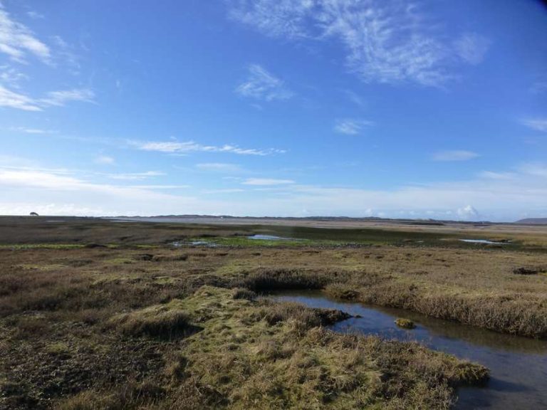 The lost standing stones of Devon are still hiding from archaeologists ...