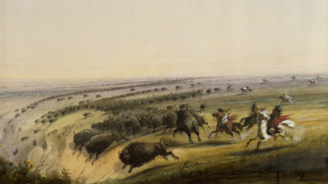 Native Americans managed the prairie for better bison hunts - Ars Technica