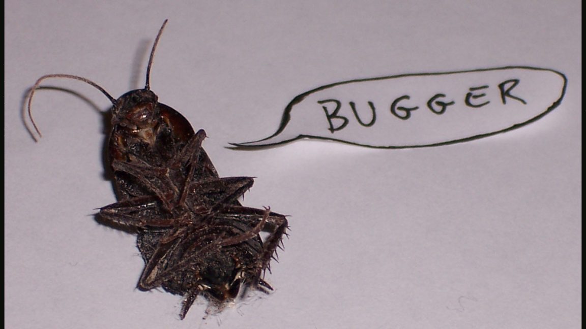 Data-deletion bug forces Microsoft to suspend rollout of Windows 10 ...