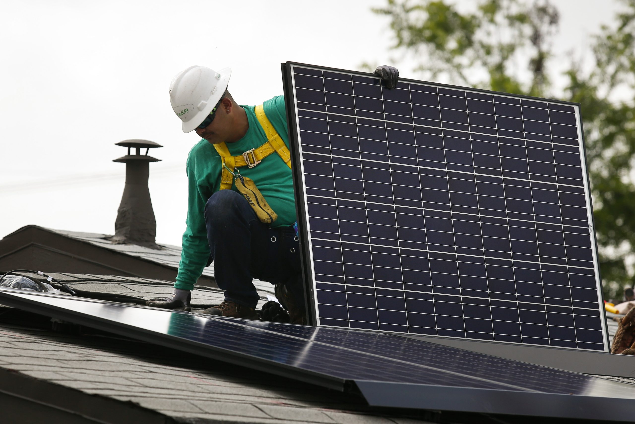 Ex-SolarCity employees: We were fired after reporting millions in fake ...