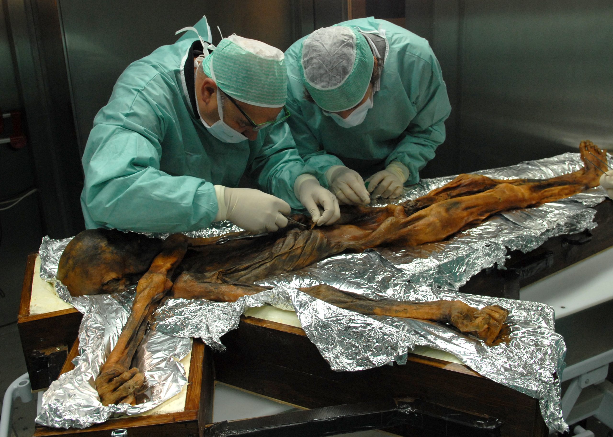 Ötzi the Iceman’s last meal shows how Copper Age people ate on the run ...