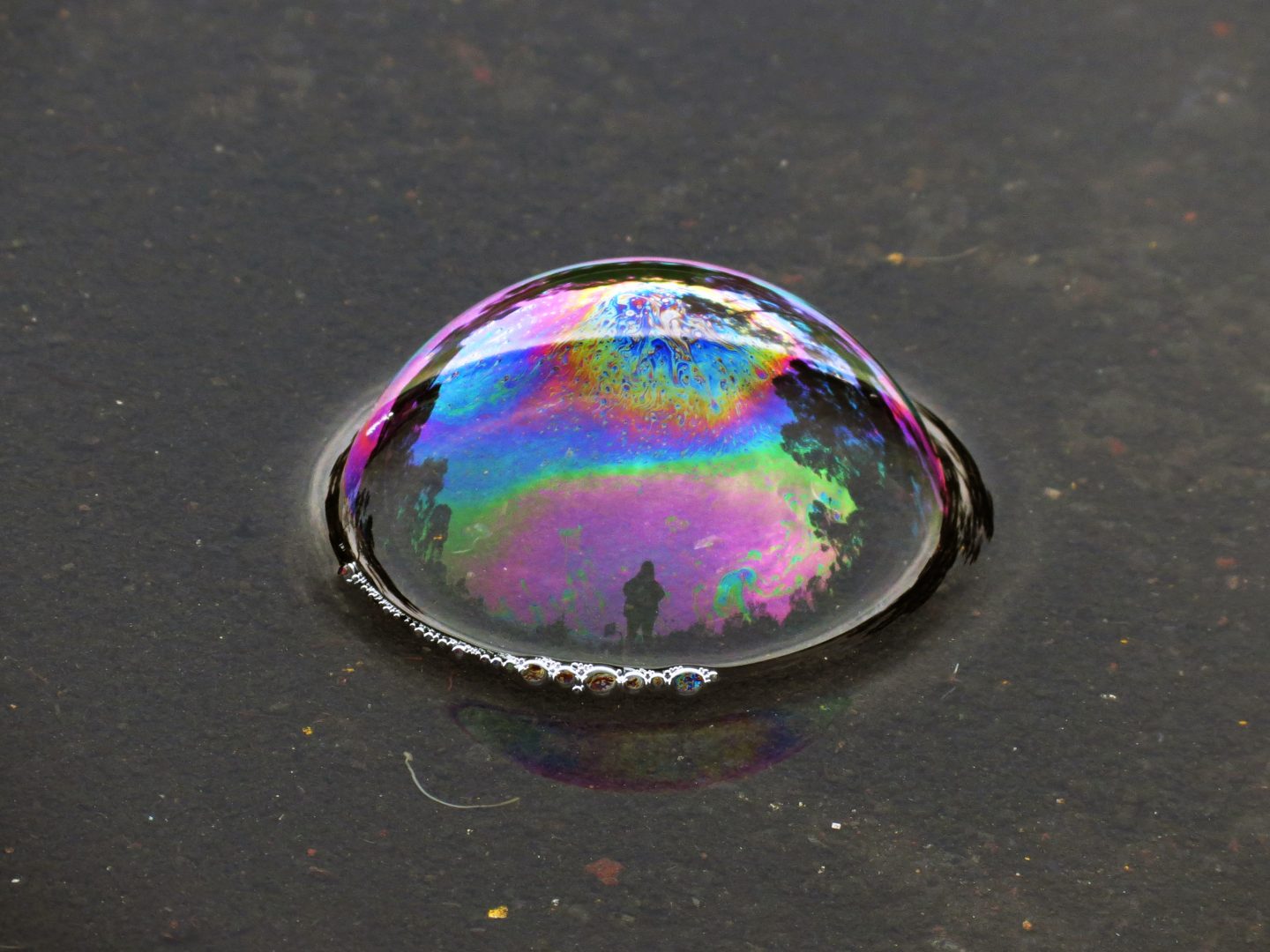 Being reminded of your political bubble can stop you from breaking out ...