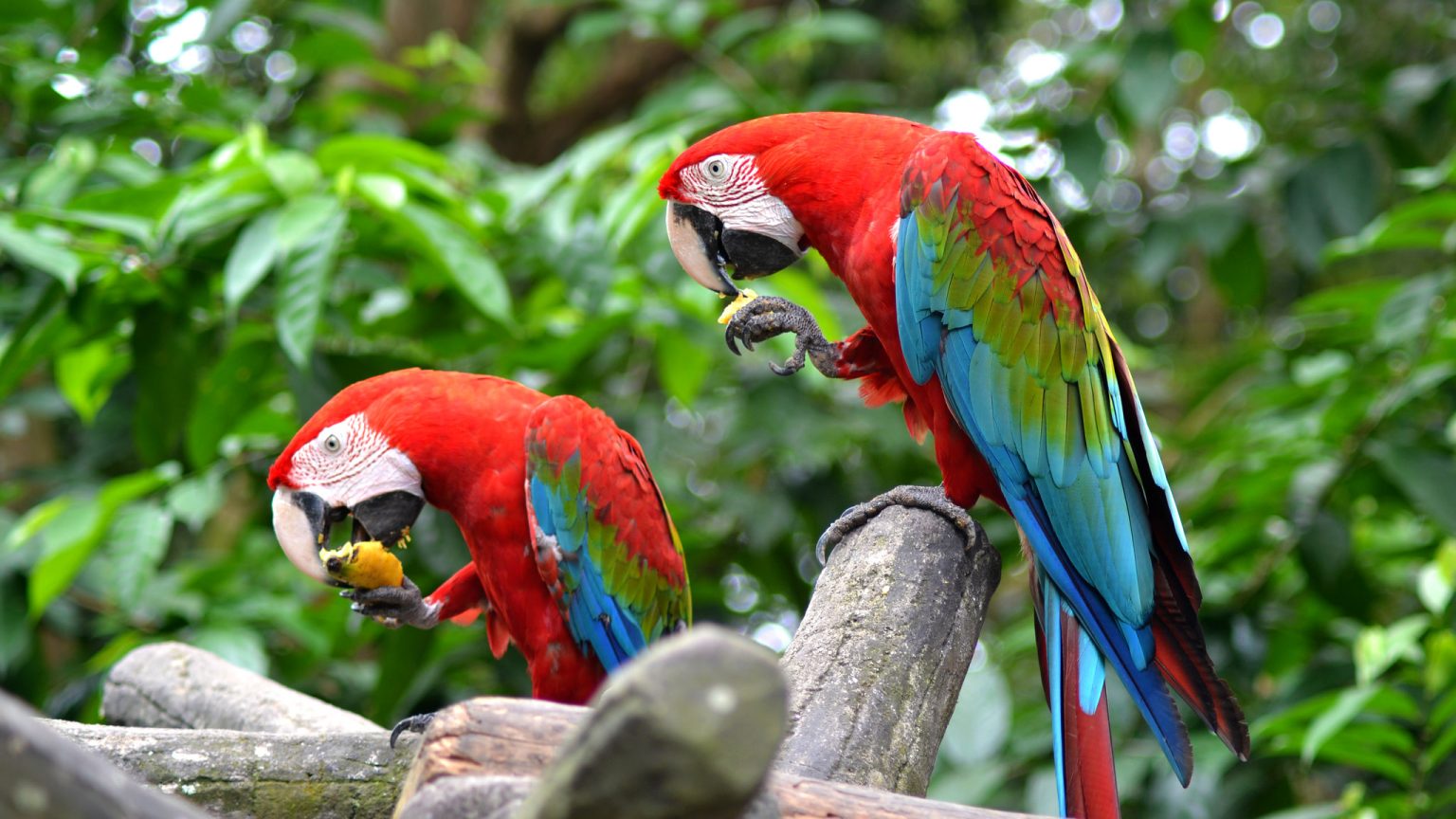 Tag: atacama desert - Ars Technica