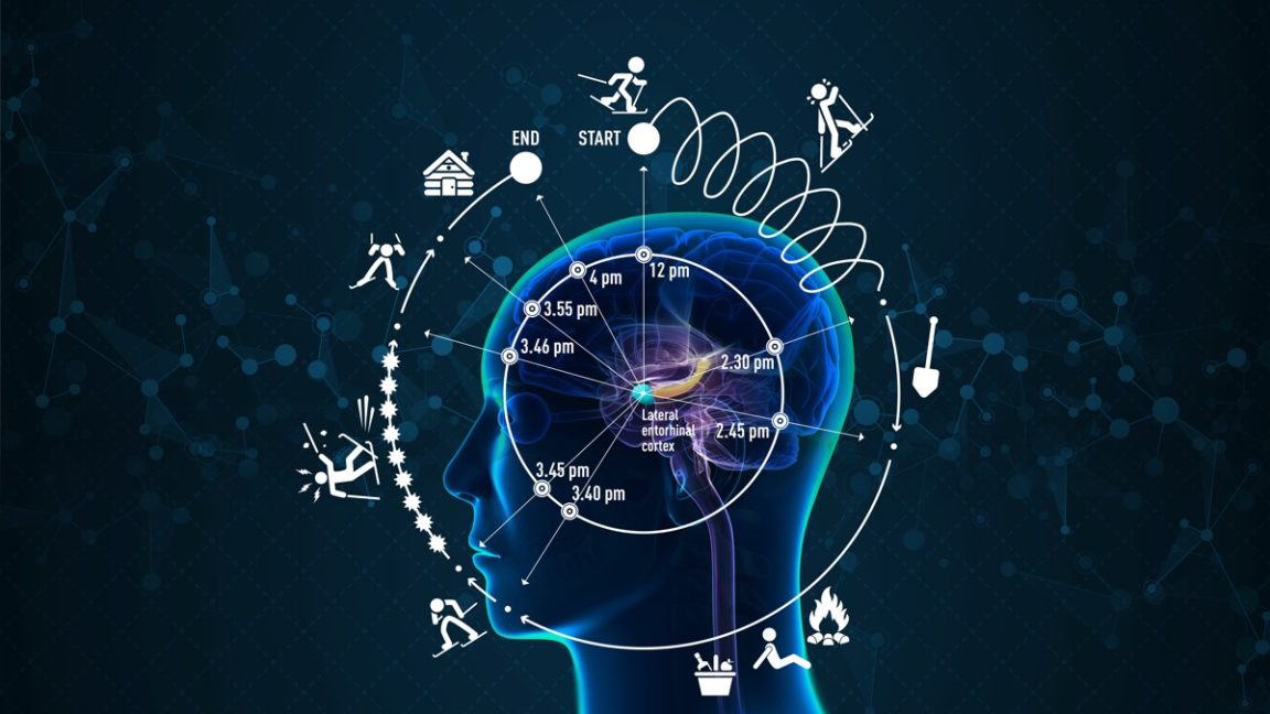 Scientists found brain’s internal clock that influences how we perceive ...
