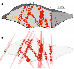 The oldest drawing in the world was done with an ocher crayon - Ars ...