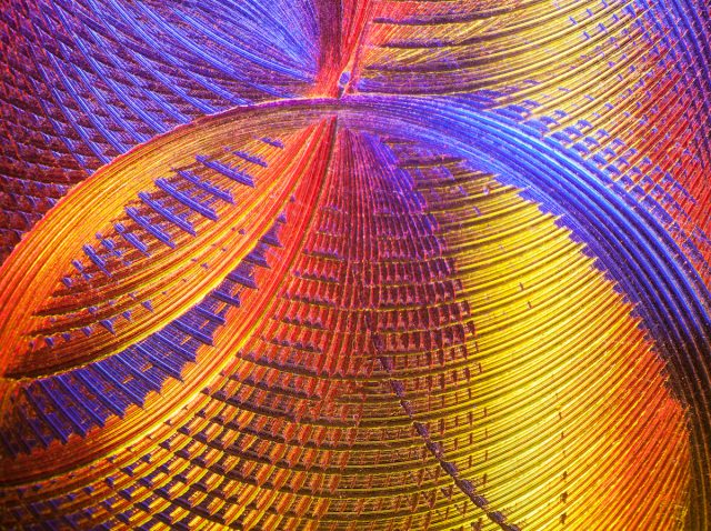 Some of this year’s best microscopy images - Ars Technica