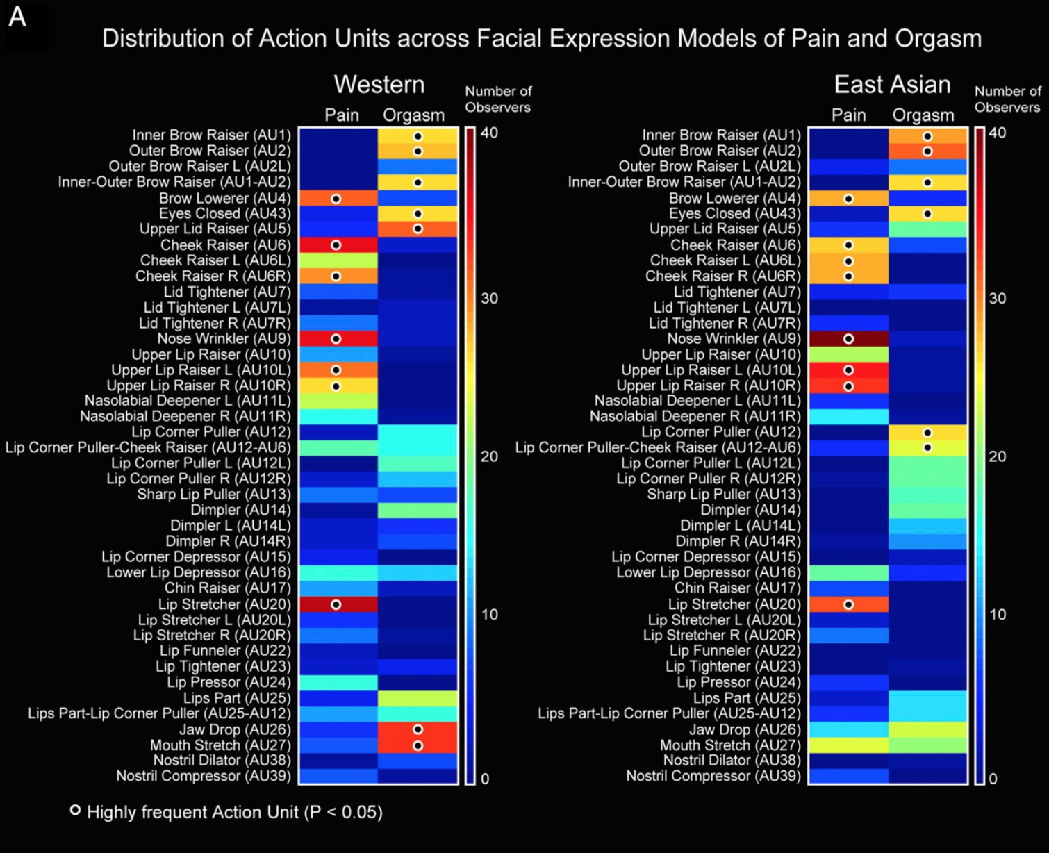 How orgasm faces differ between people from Eastern and Western ...