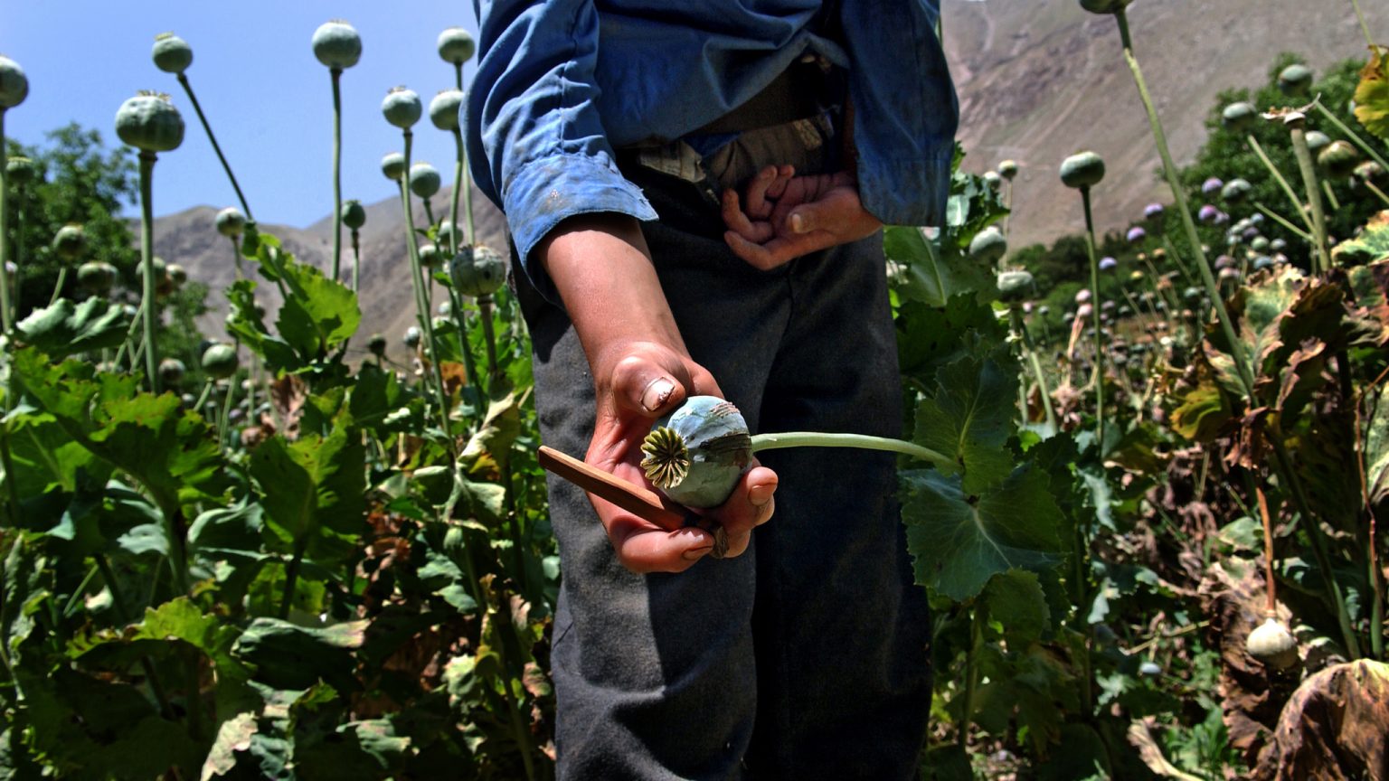 Tag: drug trafficking - Ars Technica