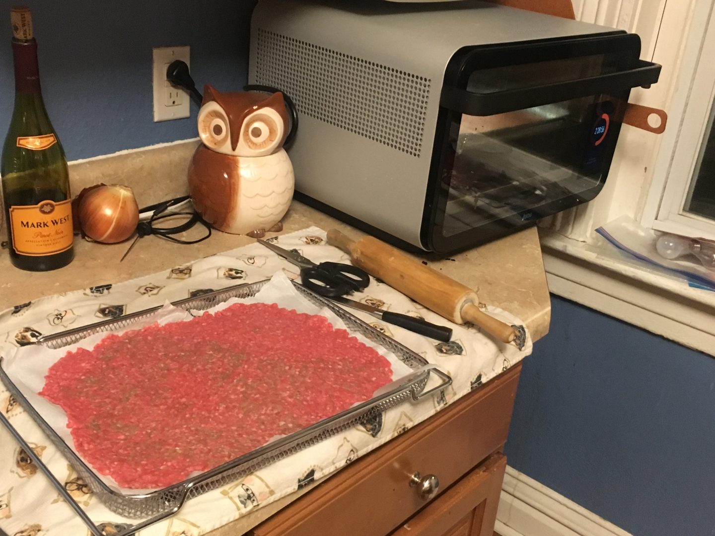 June postscript: 5 unusual things you can make in an Internet-connected ...