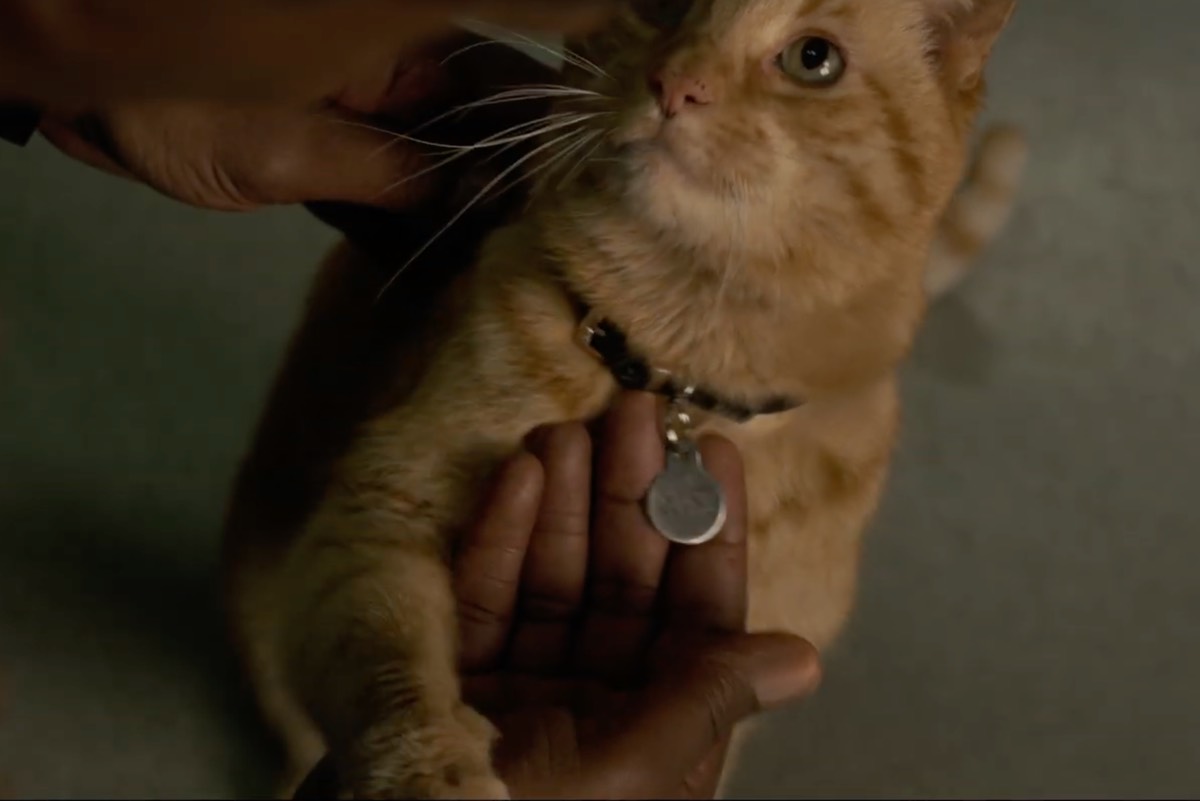 Neither bird nor plane: Captain Marvel blasts into space in new trailer ...