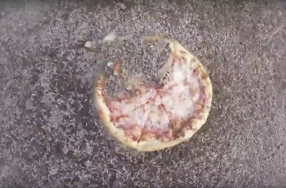 Georgia Tech scientists figured out how maggots can eat so much, so ...