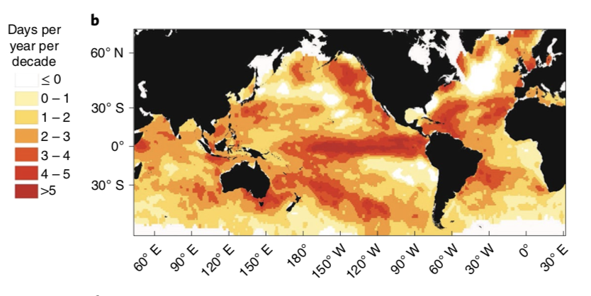 Ocean heat waves remake Pacific and Caribbean habitats - Ars Technica