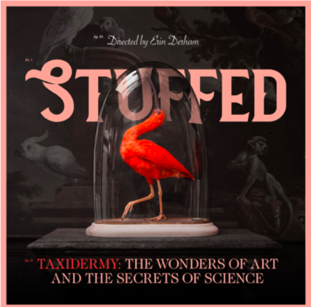 Stuffed documentary: Maybe taxidermy isn’t such a dead industry after ...