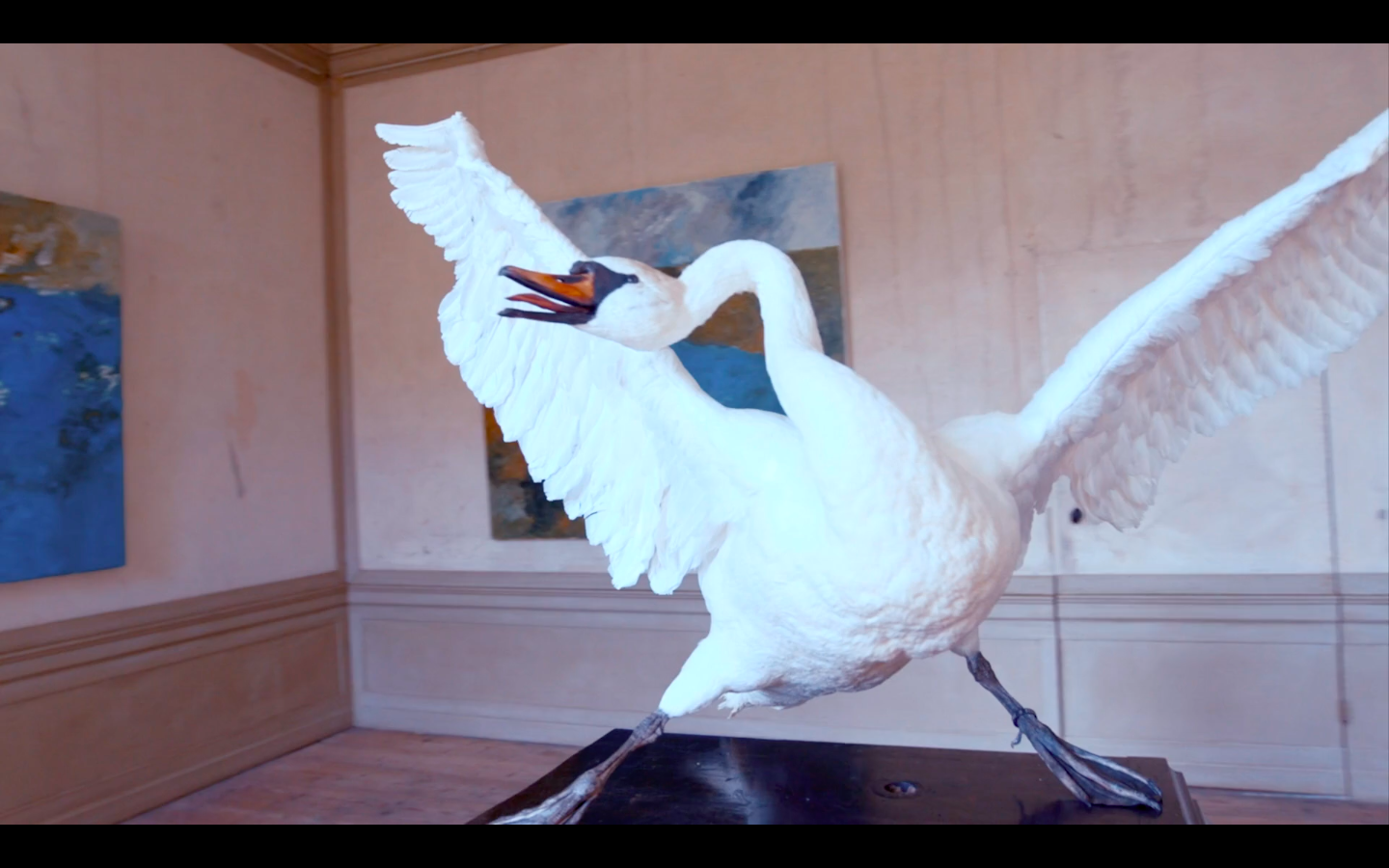 Stuffed documentary: Maybe taxidermy isn’t such a dead industry after ...