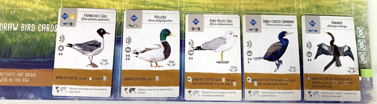 Wingspan review: A gorgeous birding board game takes flight | Ars Technica