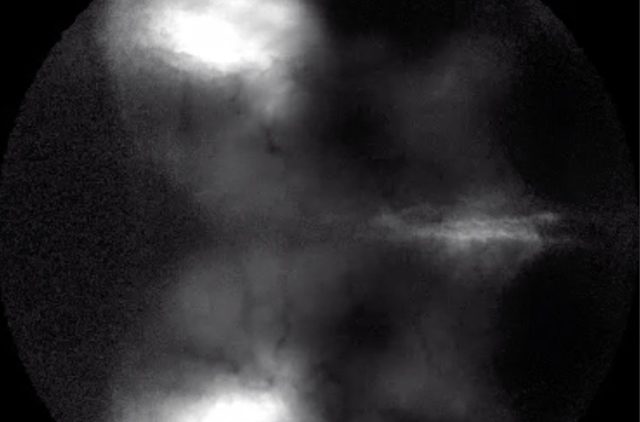 Hallucinating mice bring us one step closer to what’s going on in the ...