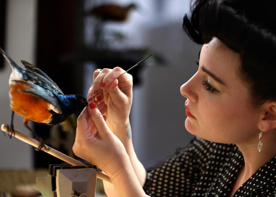 Stuffed documentary: Maybe taxidermy isn’t such a dead industry after ...