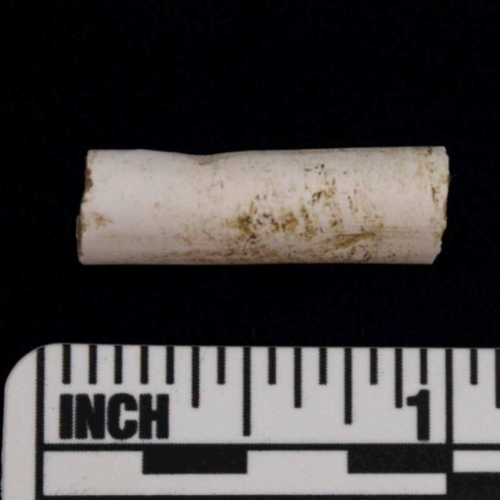 Tag: DNA analysis - Ars Technica