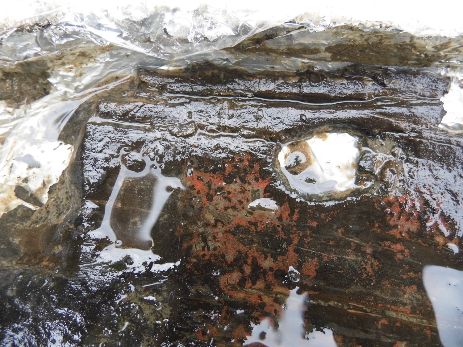 This 2,400-year-old bark shield took a beating in an Iron Age fight ...