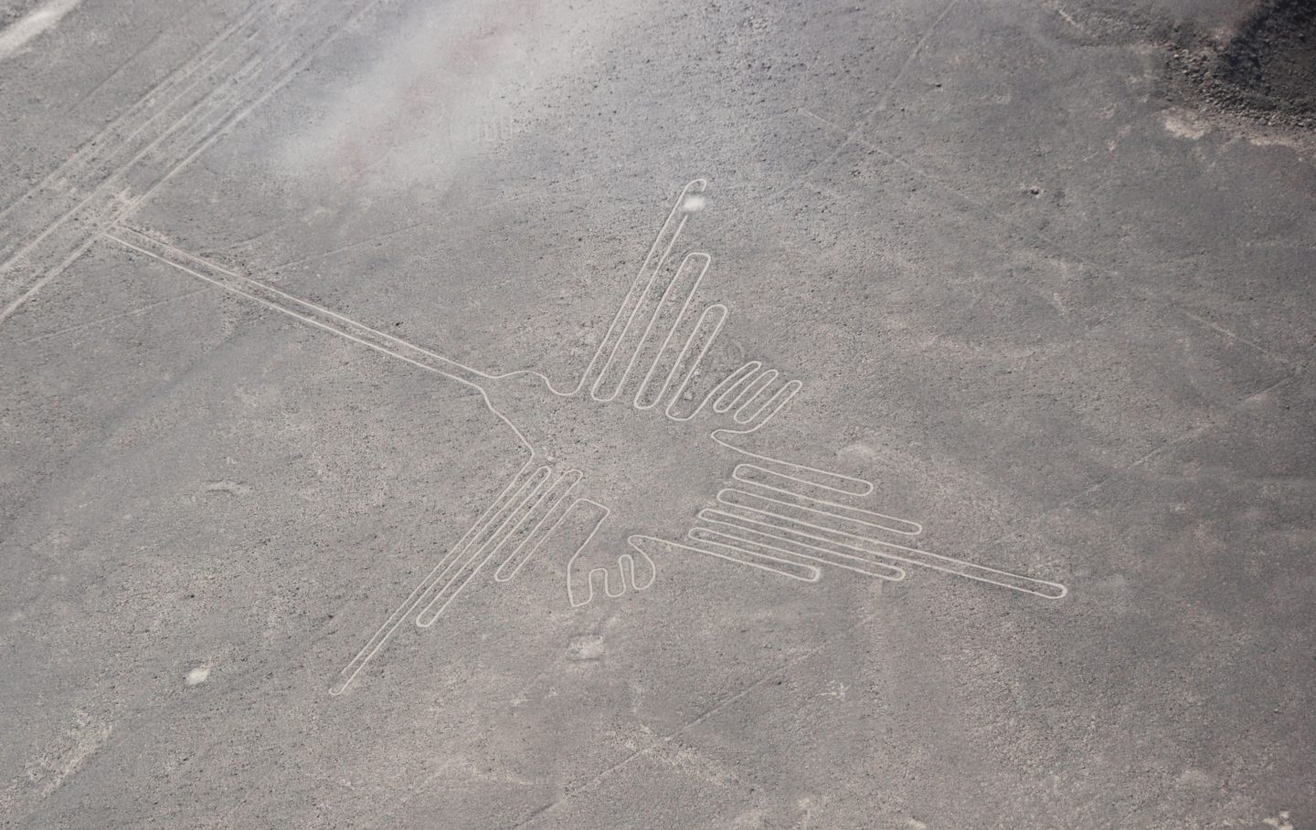 New study takes a bird’s-eye view of the Nasca Lines - Ars Technica