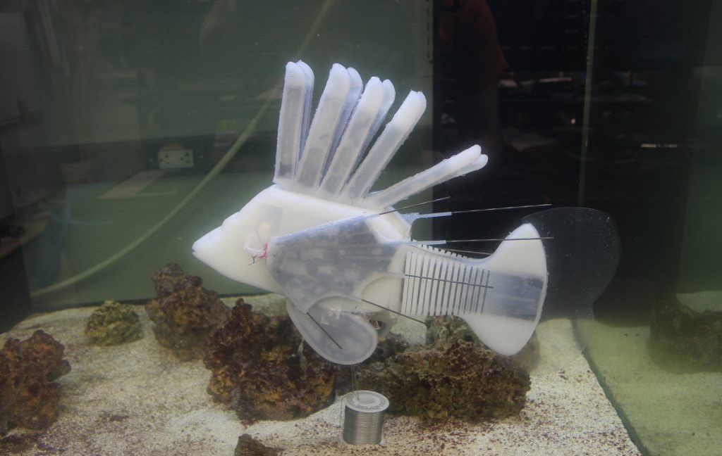 Researchers make a robotic fish with a battery for blood - Ars Technica