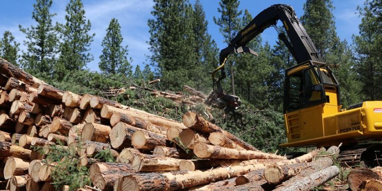 How much carbon does our lumber sequester? | Ars Technica