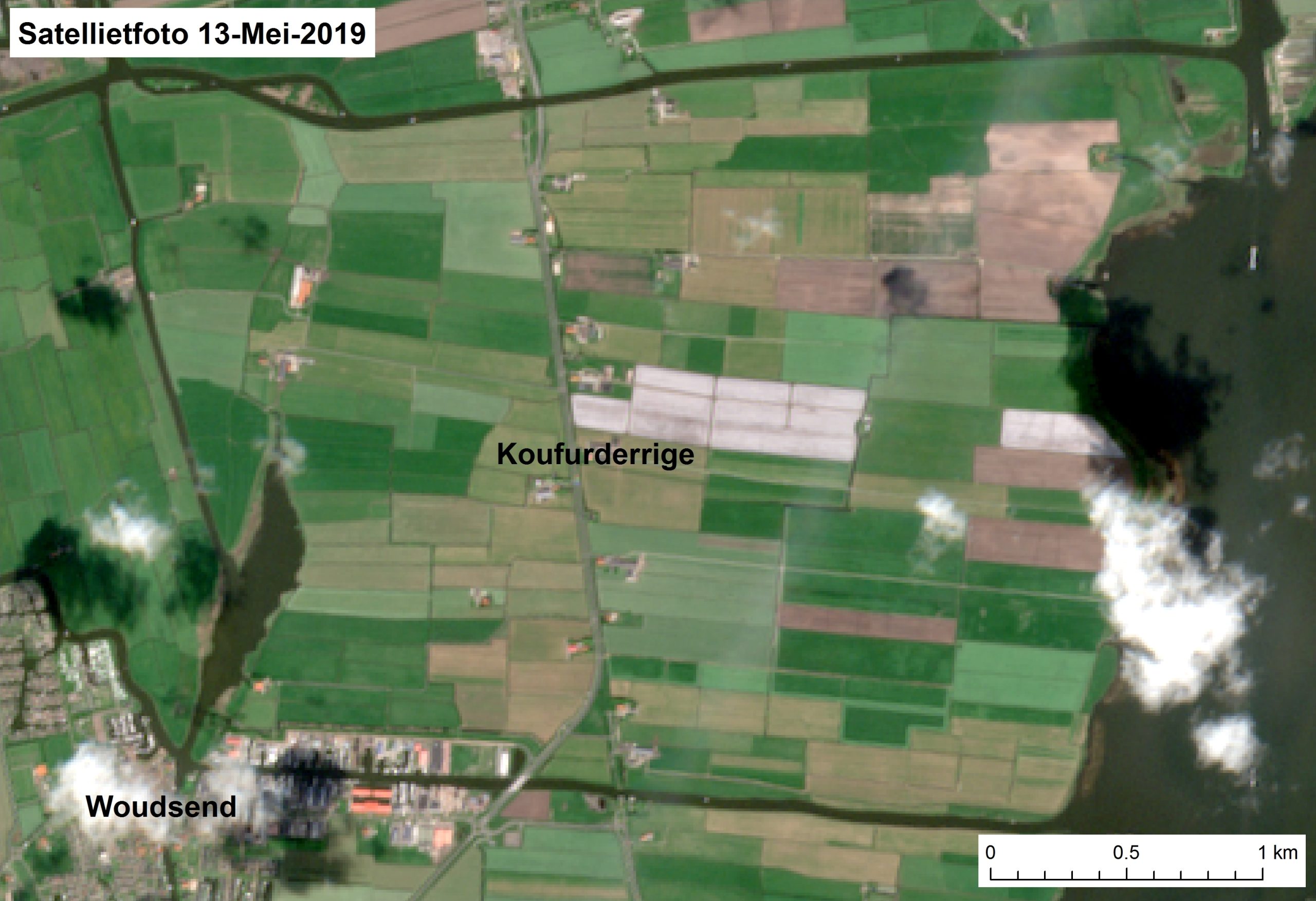 A plague upon your land: Mouse damage visible from space - Ars Technica