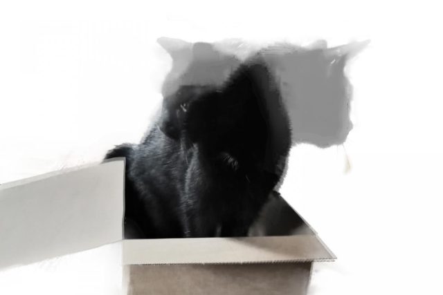 Record-breaking 20 qubits entangle to make “Schrödinger’s cat” in the ...