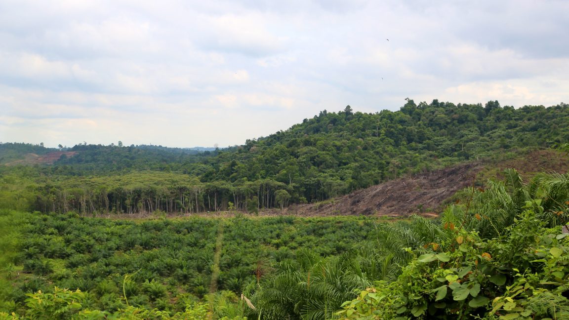 New IPCC report shows land use is part of solution to climate change ...