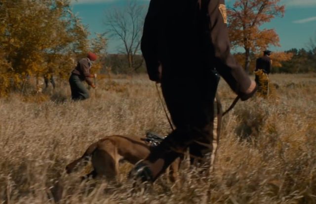 Terrifying tales spring to vivid life in Scary Stories to Tell in the ...