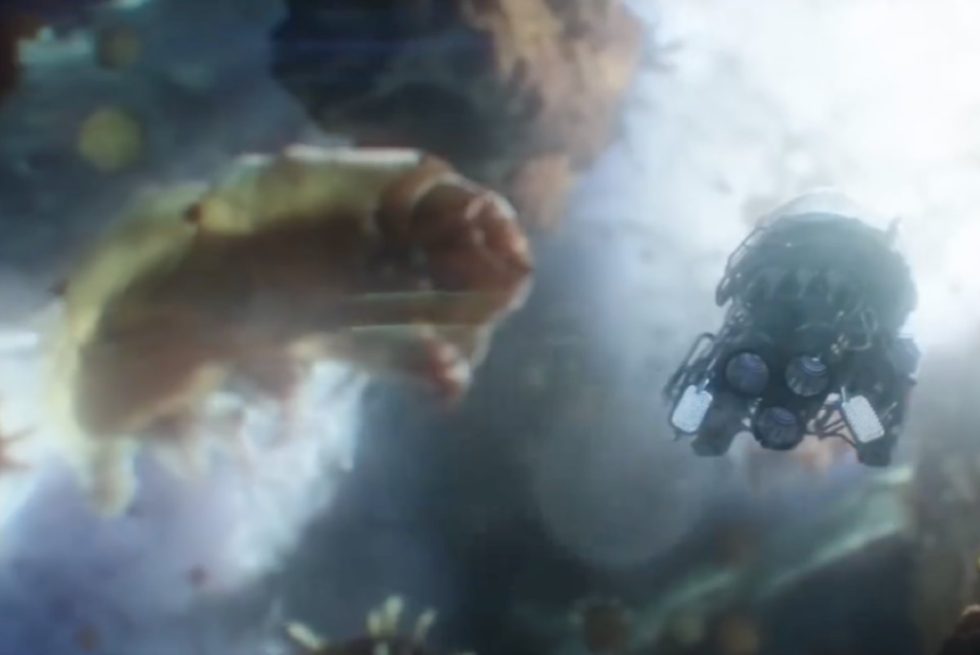 Tiny tardigrades crash-landed on the Moon and probably survived - Ars ...