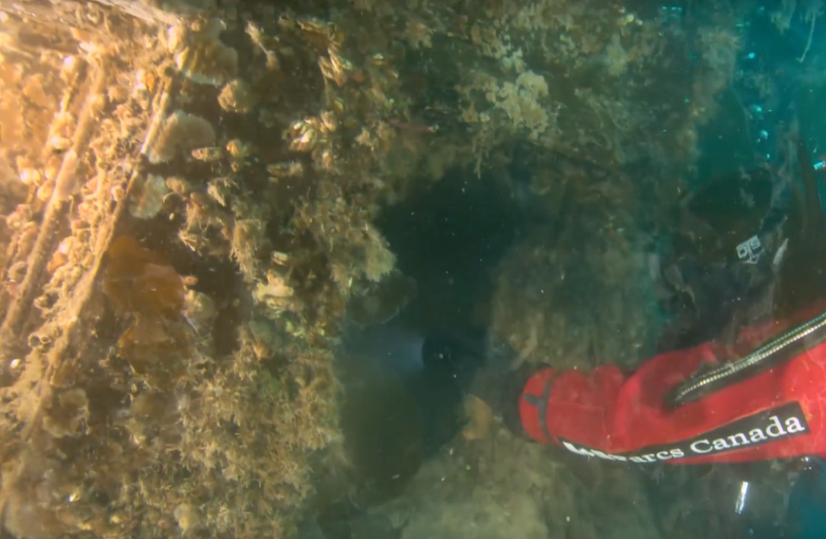 Fresh images of HMS Terror shipwreck could clear up lingering mysteries ...