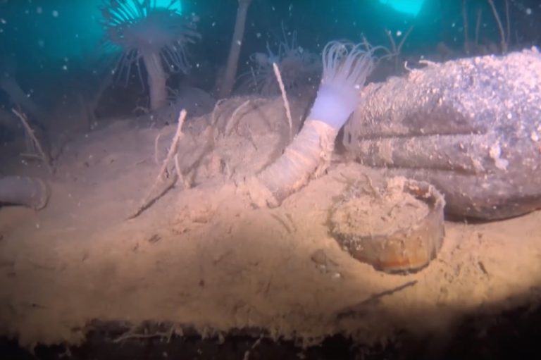 Fresh images of HMS Terror shipwreck could clear up lingering mysteries ...