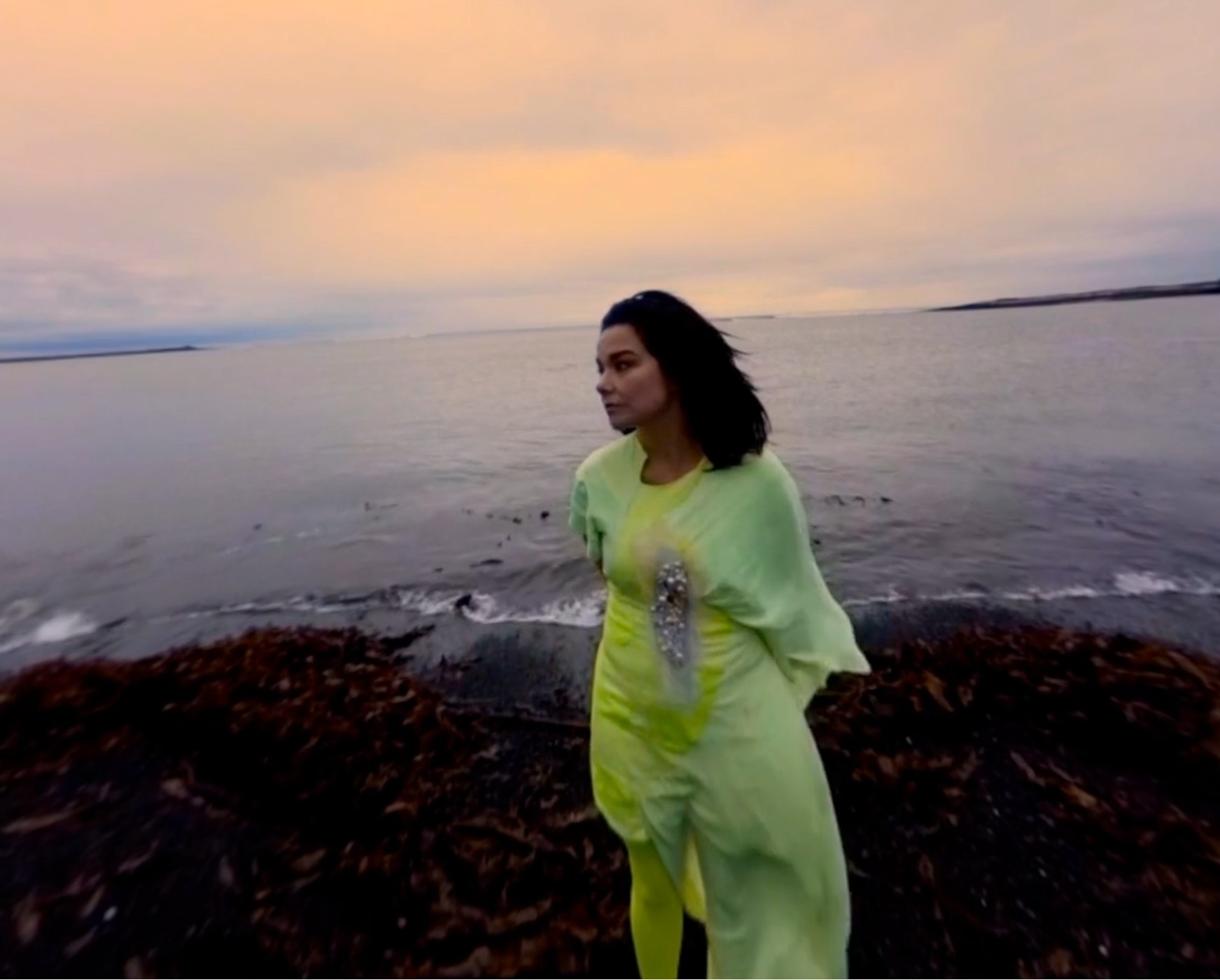 Björk made music’s first “VR pop album”—she opens up about its ...