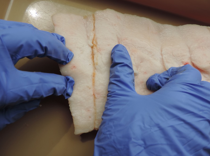 Knives made of frozen feces don’t make the cut, disproving well-known ...