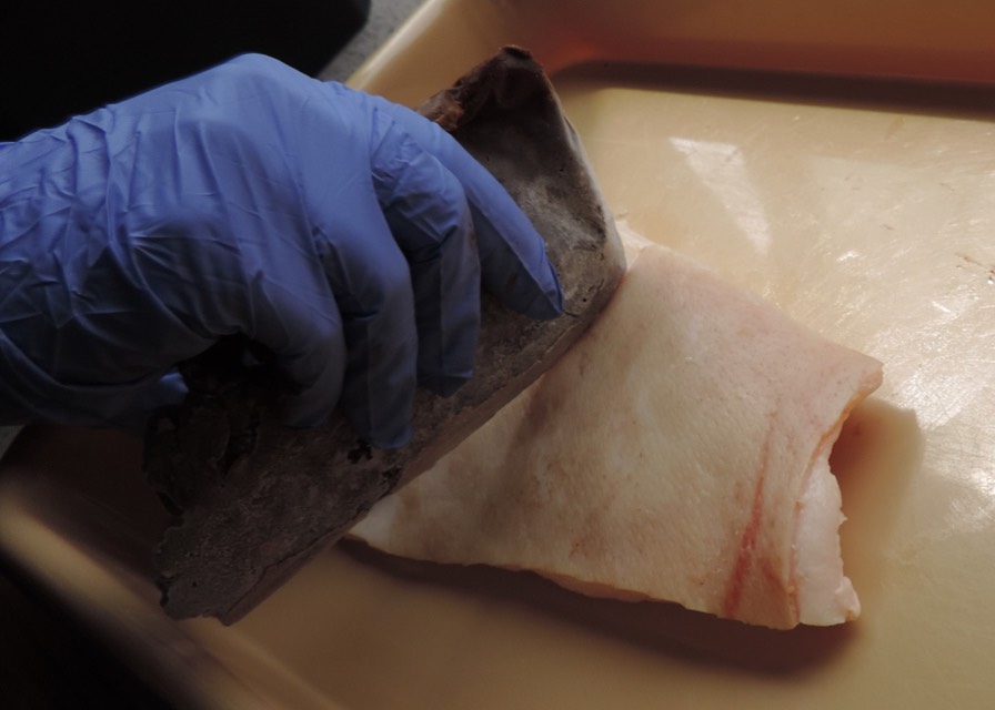 Knives made of frozen feces don’t make the cut, disproving well-known ...