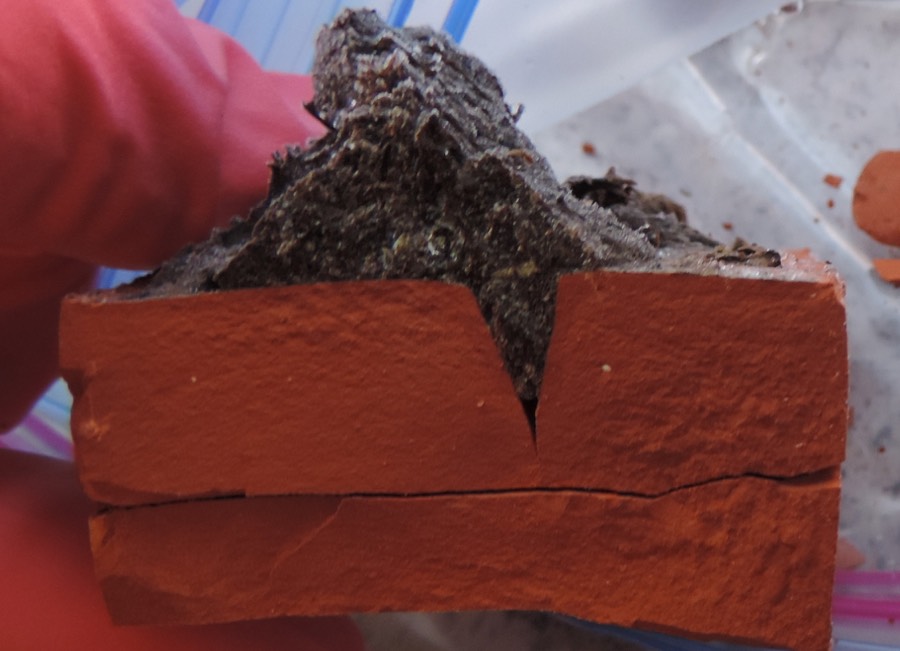 Knives made of frozen feces don’t make the cut, disproving well-known ...